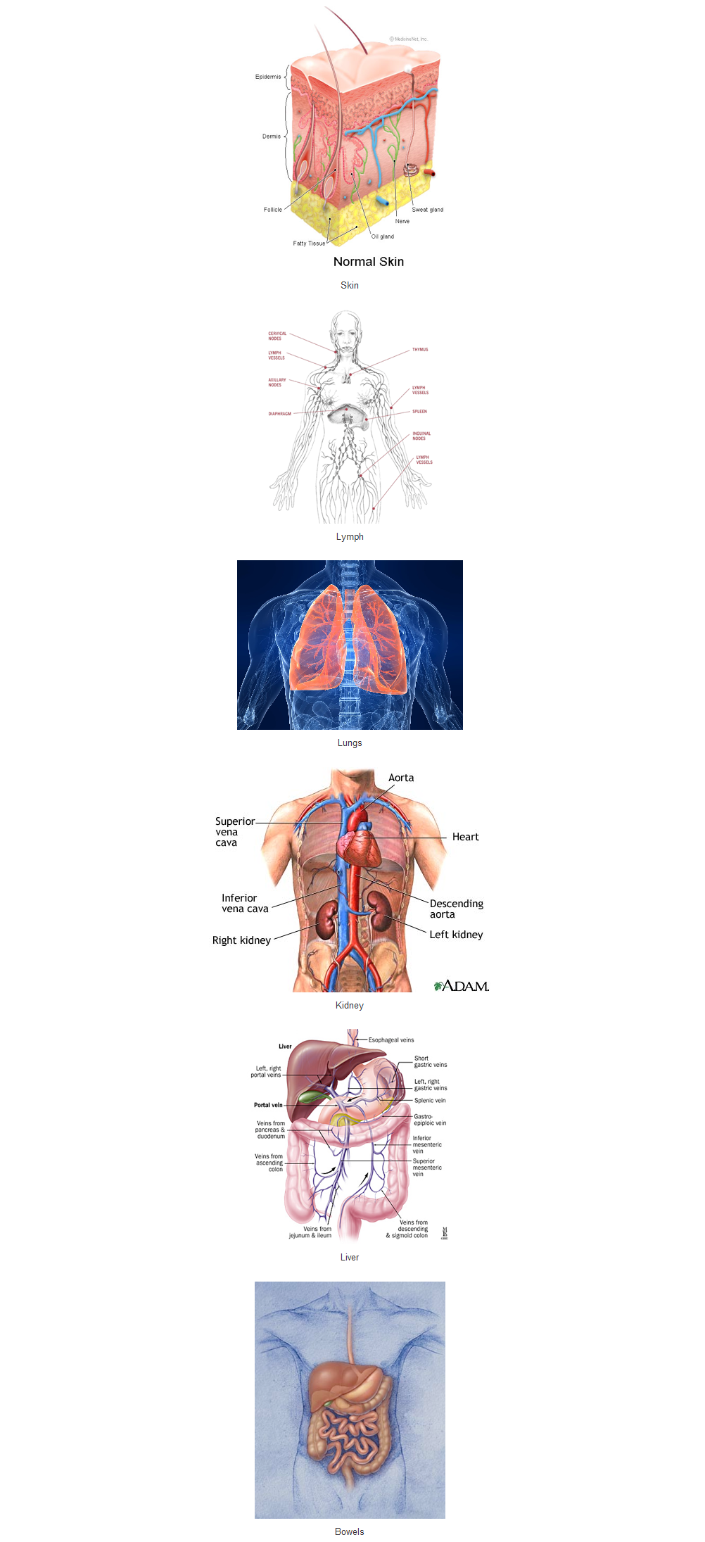 Detoxification | Liberty Clinic